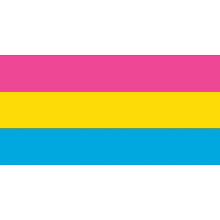 Pansexual Flag – Flags Of All Nations
